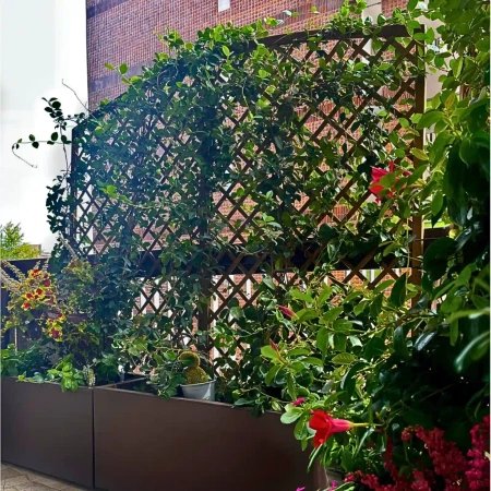 English Trellis with Omega Arch h183/193/183 x 90 cm | Fencing ...